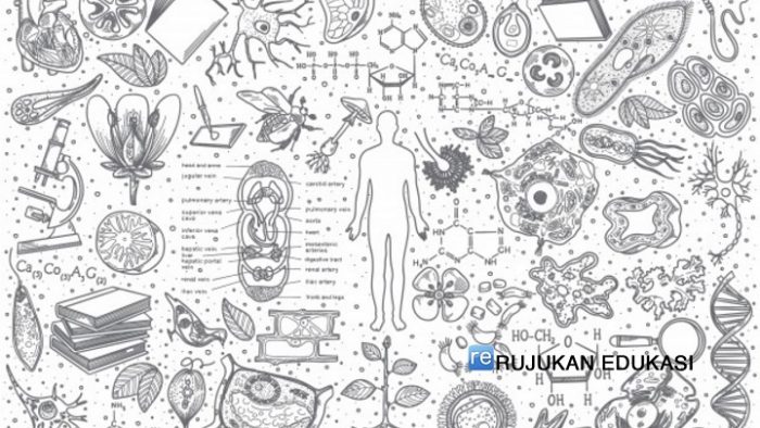 Gen Adalah Segmen-Segmen Atau Rantai DNA LENGKAP - Rujukan Edukasi