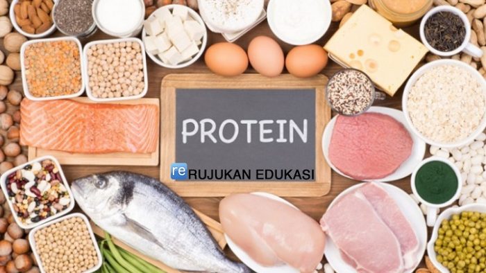 Protein Adalah Jenis Senyawa Organik Yang Terdiri Dari Molekul Tinggi ...
