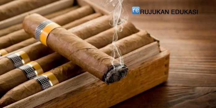 Rokok Adalah Gulungan Tembakau Yang Dibungkus Dengan Kulit Jagung, Daun ...