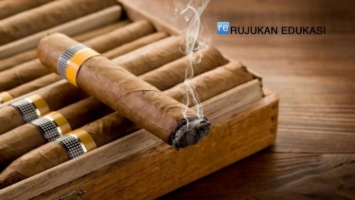 Rokok Adalah Gulungan Tembakau Yang Dibungkus Dengan Kulit Jagung, Daun ...